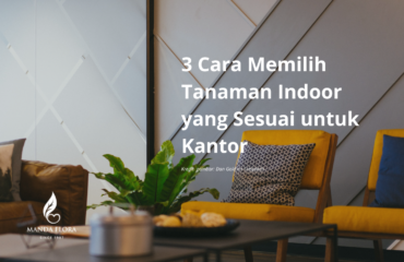 Rental dan Sewa Tanaman Hias Indoor - Manda Flora