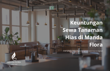 Rental dan Sewa Tanaman Hias Indoor - Manda Flora