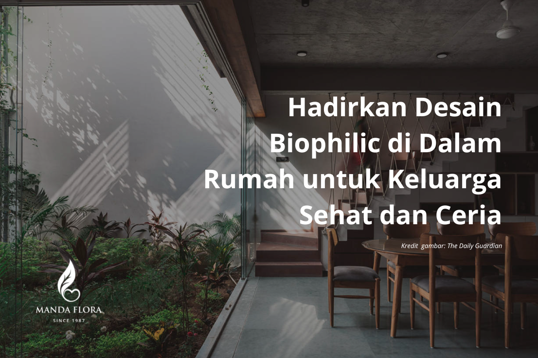 Hadirkan Desain Biophilic Didalam Rumah untuk Keluarga Sehat dan Ceria ...