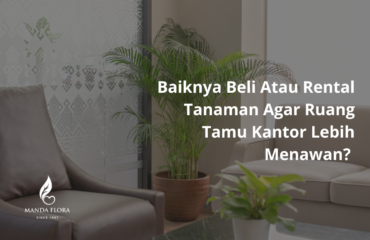 Rental dan Sewa Tanaman Hias Indoor - Manda Flora