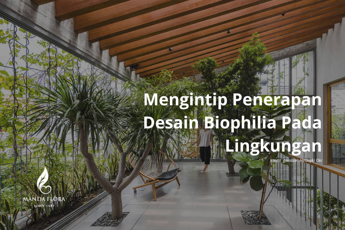 Mengintip Penerapan Desain Biophilia Pada Lingkungan | Manda Flora