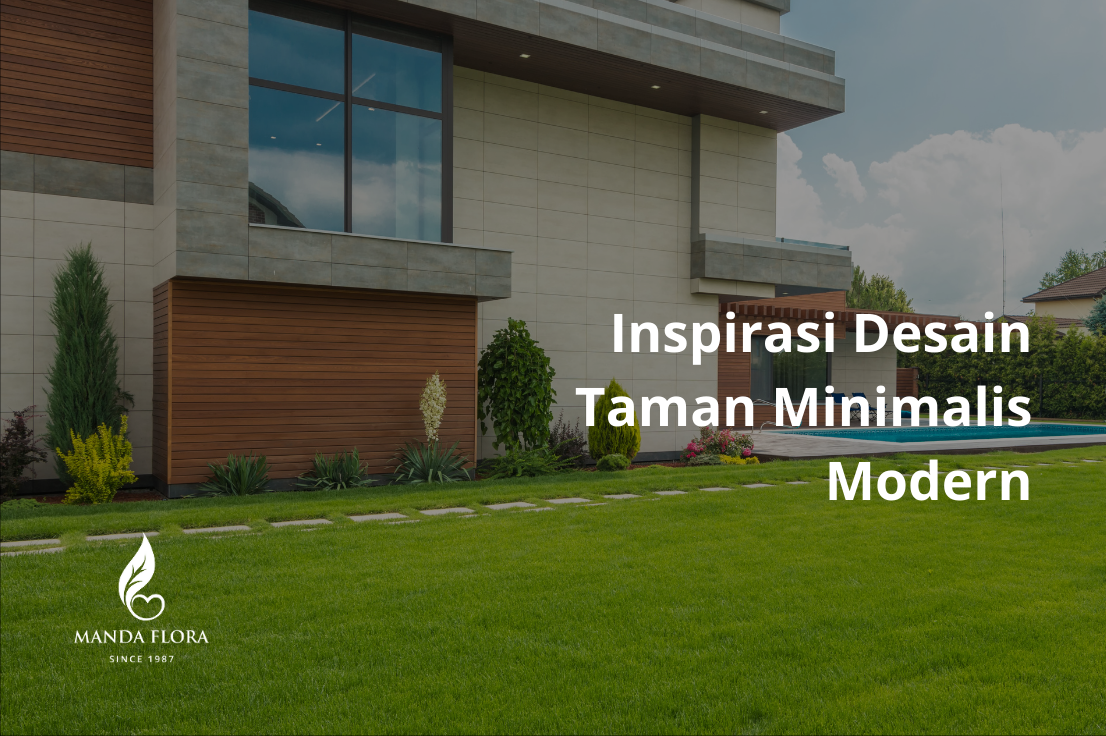 Inspirasi Desain Taman Minimalis Modern - Mandaflora