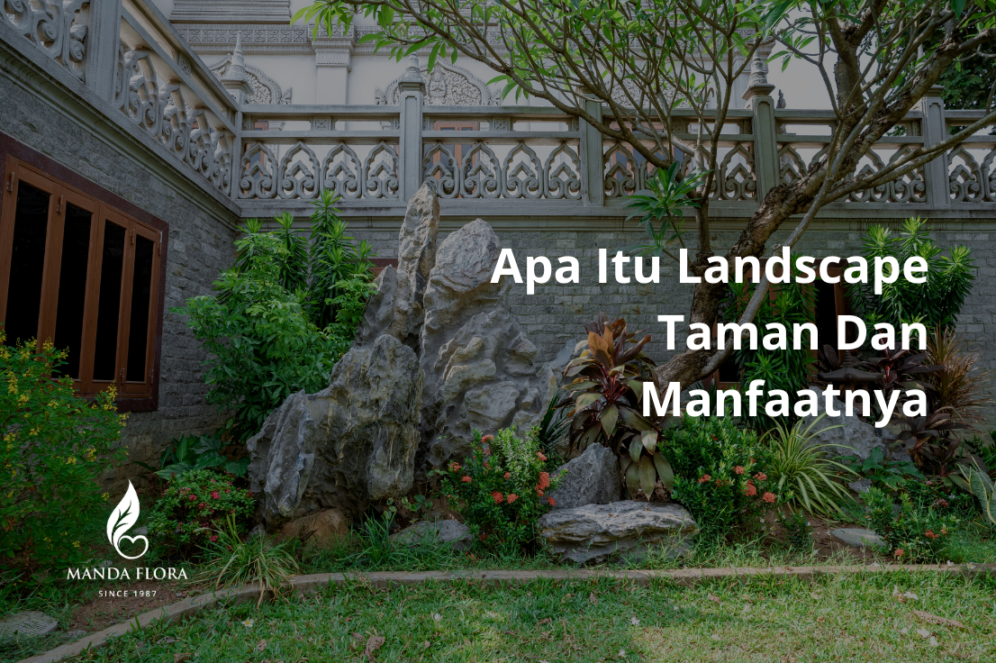 Apa Itu Landscape Taman dan Manfaatnya - Mandaflora