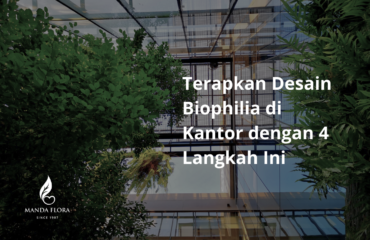 Rental dan Sewa Tanaman Hias Indoor - Manda Flora