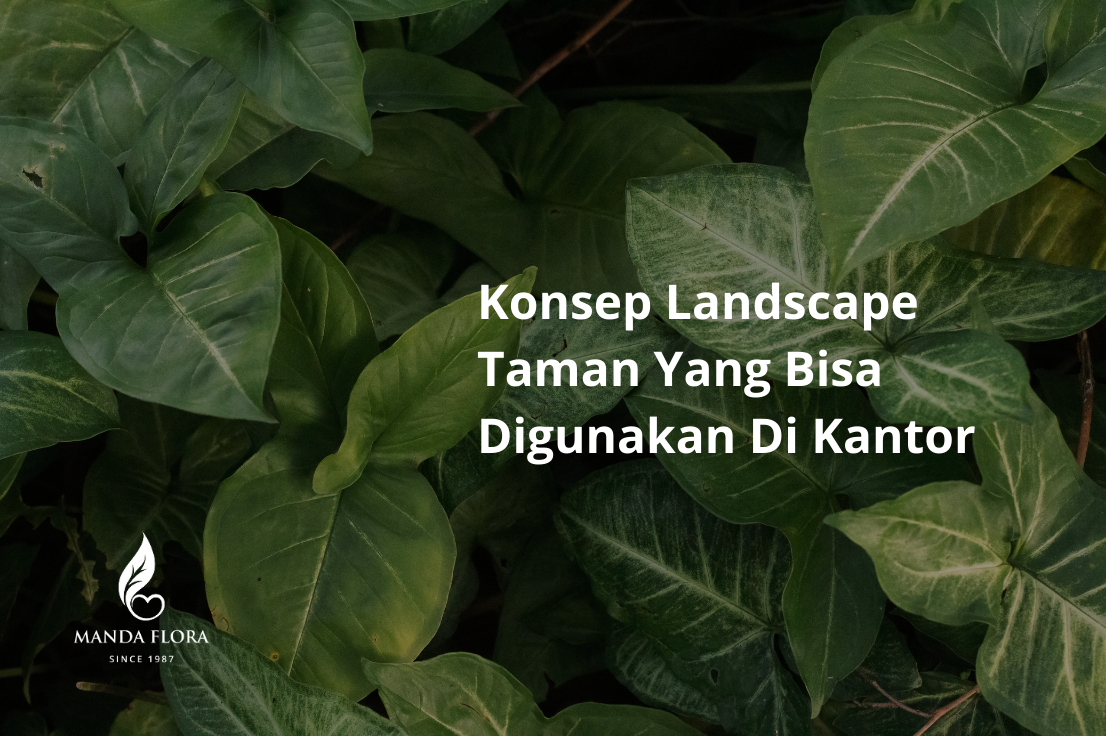 Konsep Landscape Taman yang Bisa Digunakan di Kantor